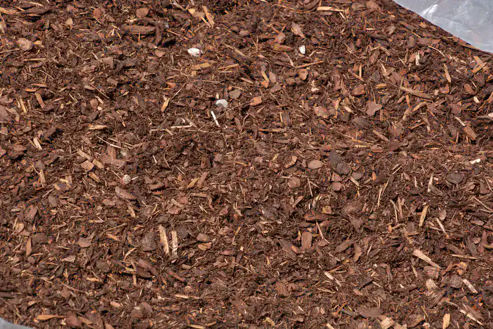 Suffolk County Lawn Care: Solving Coastal Weather Issues