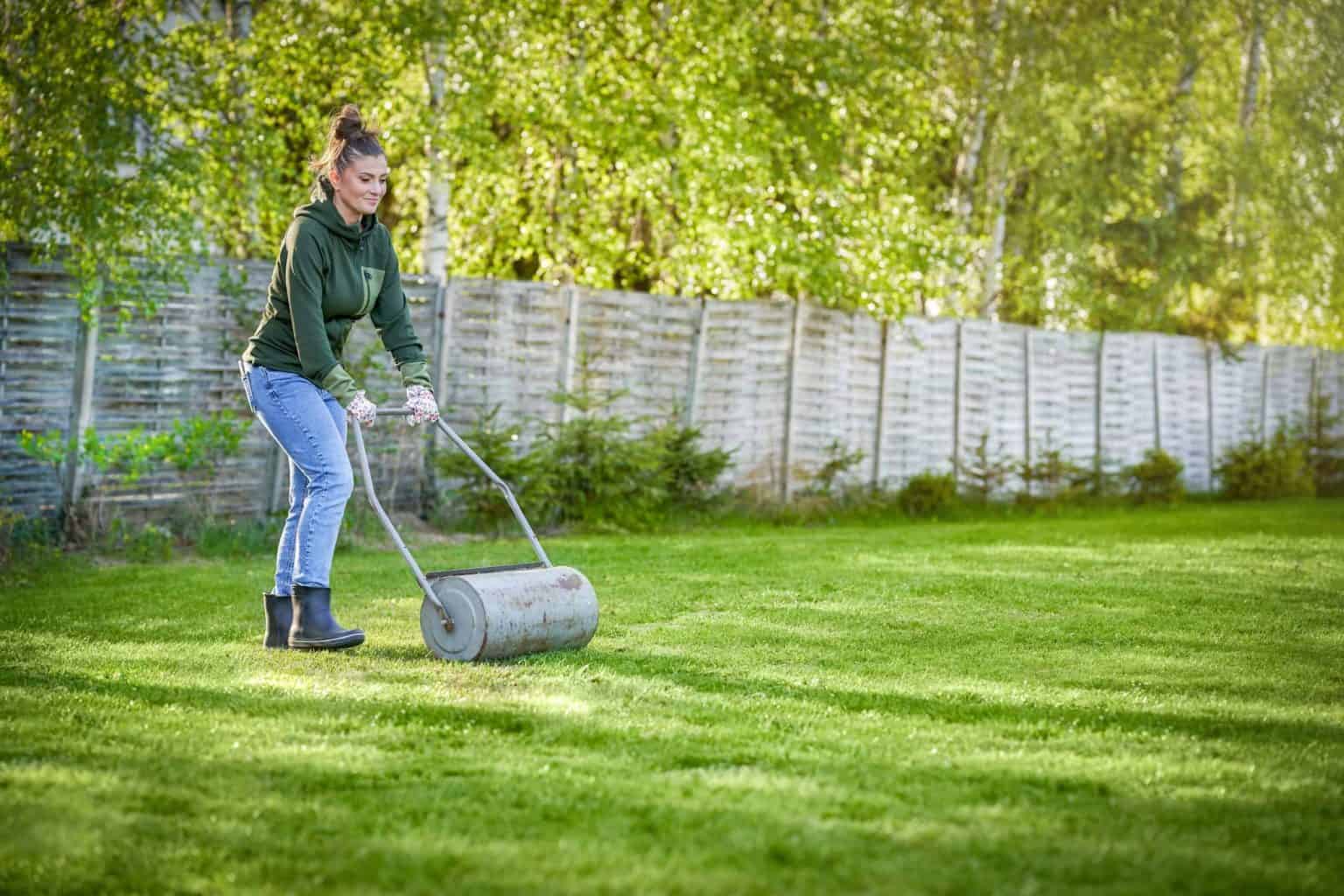 Spring vs. Fall Lawn Care: What Matters Most for Long Island